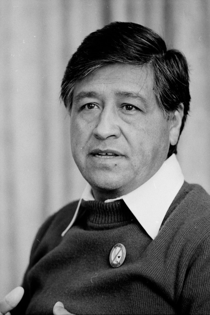 César Chávez: Legacy of Labor and Civil Rights – Letters from Tomis